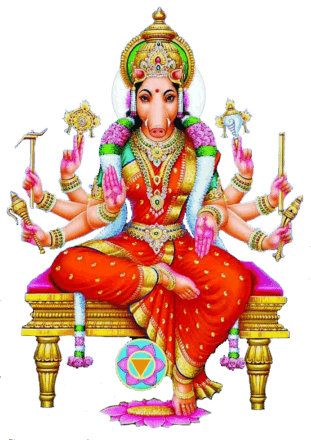 No. 1 Varahi Devi Divine Powerful Siddhi Services
