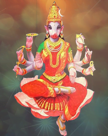 Varahi Devi Essential Plus Divine Service - Astrovibz