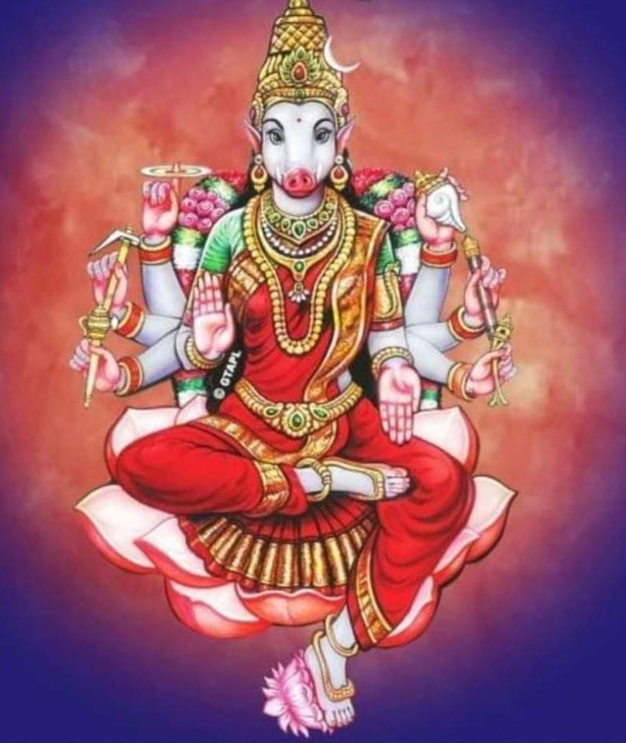 No. 1 Varahi Devi Divine Powerful Siddhi Services
